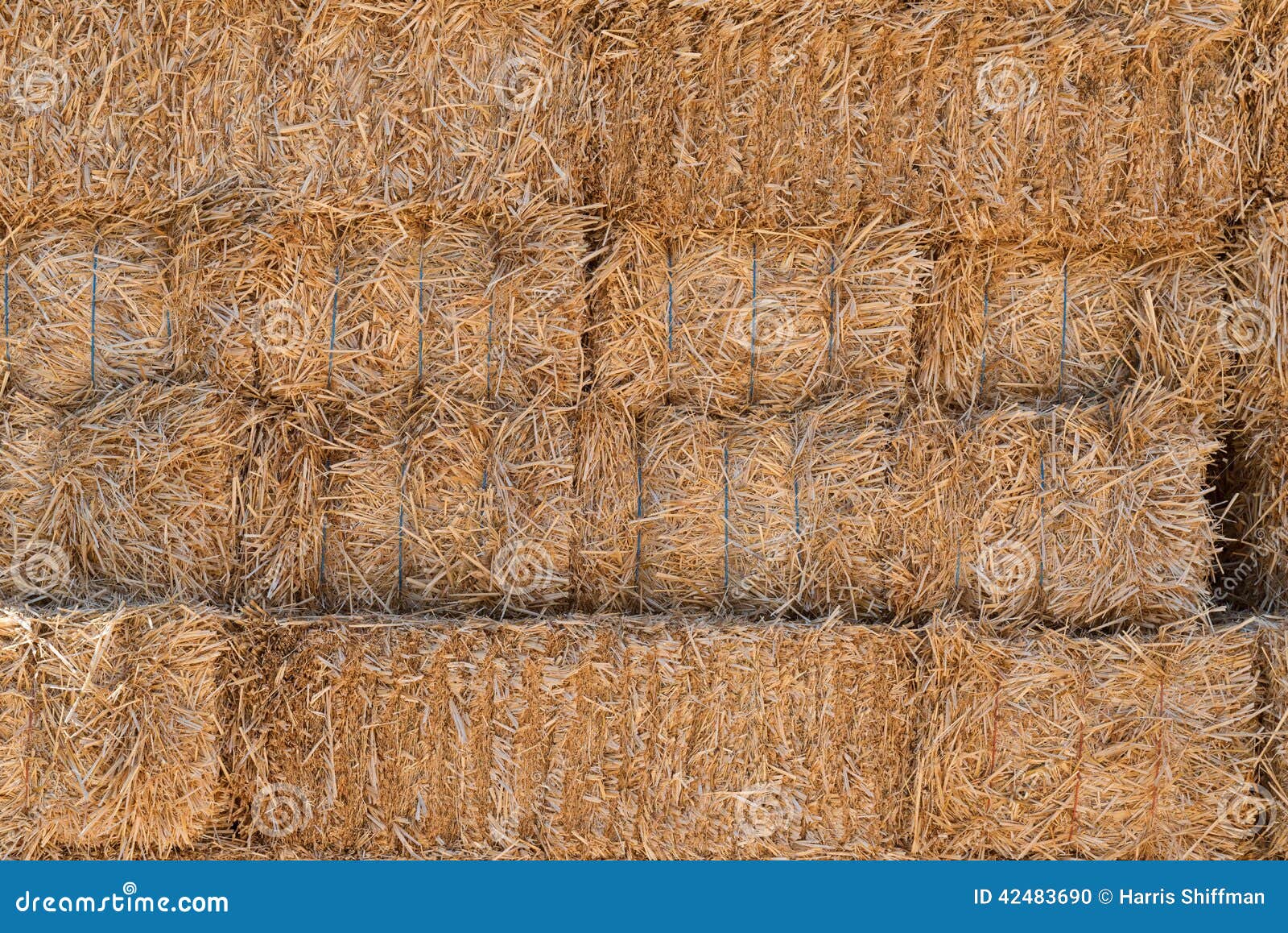Hay stock photo. Image of farming, wall, agriculture - 42483690