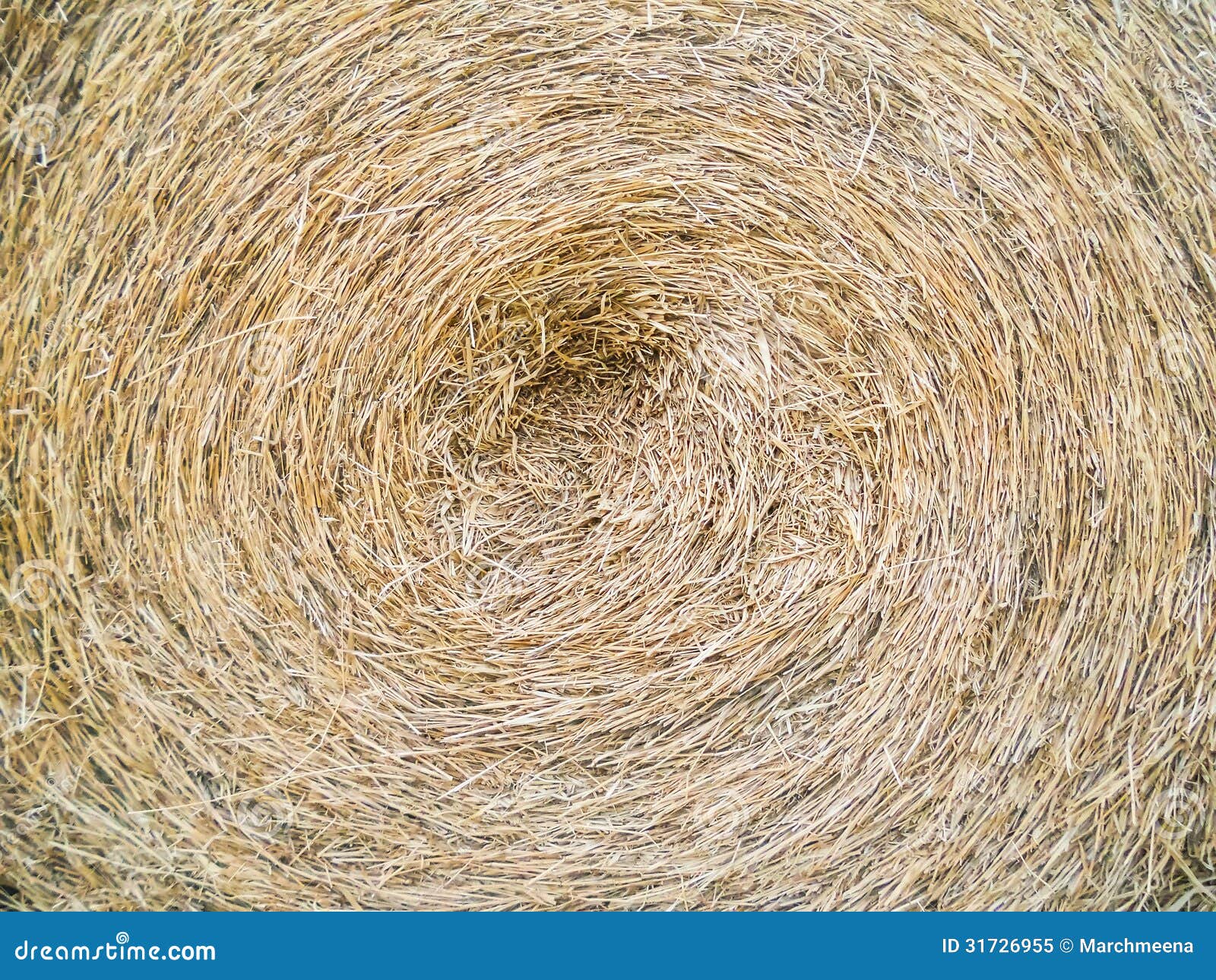 Hay stock image. Image of harvested, feed, haystack, agricultural ...