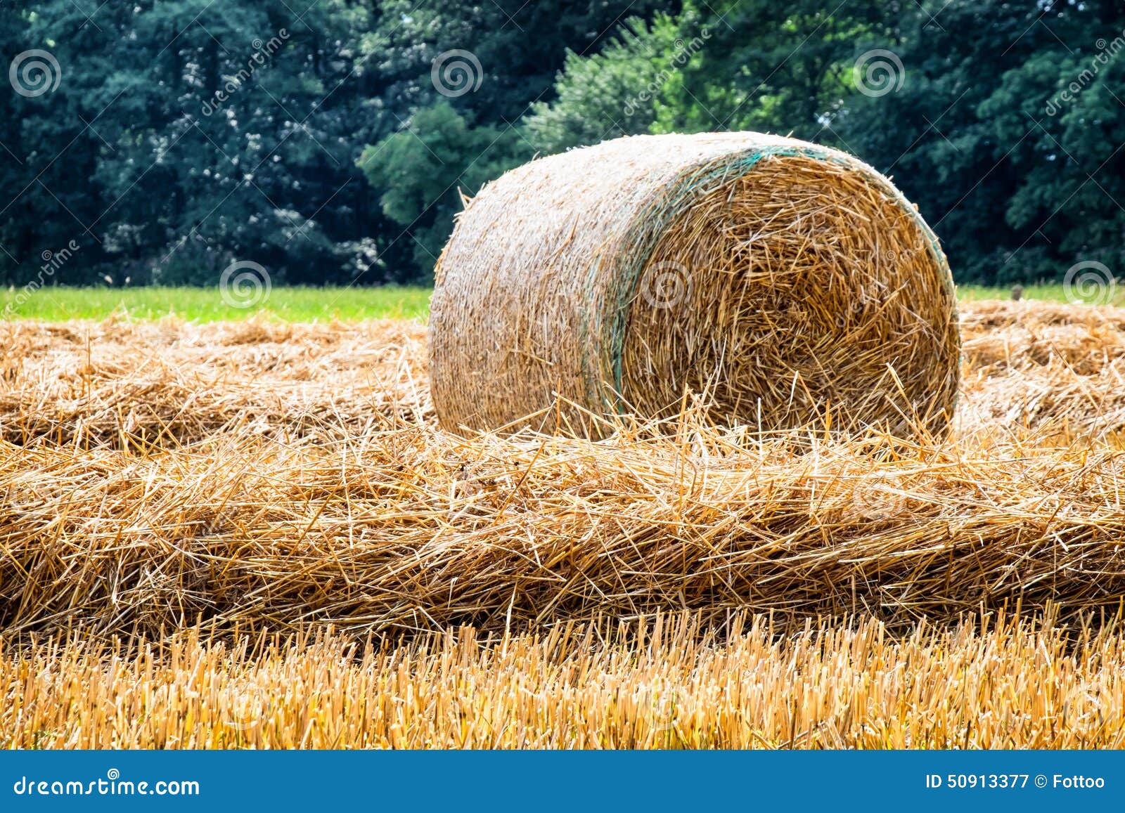 Haybale stock image. Image of crop, scenics, brown, barley - 50913377