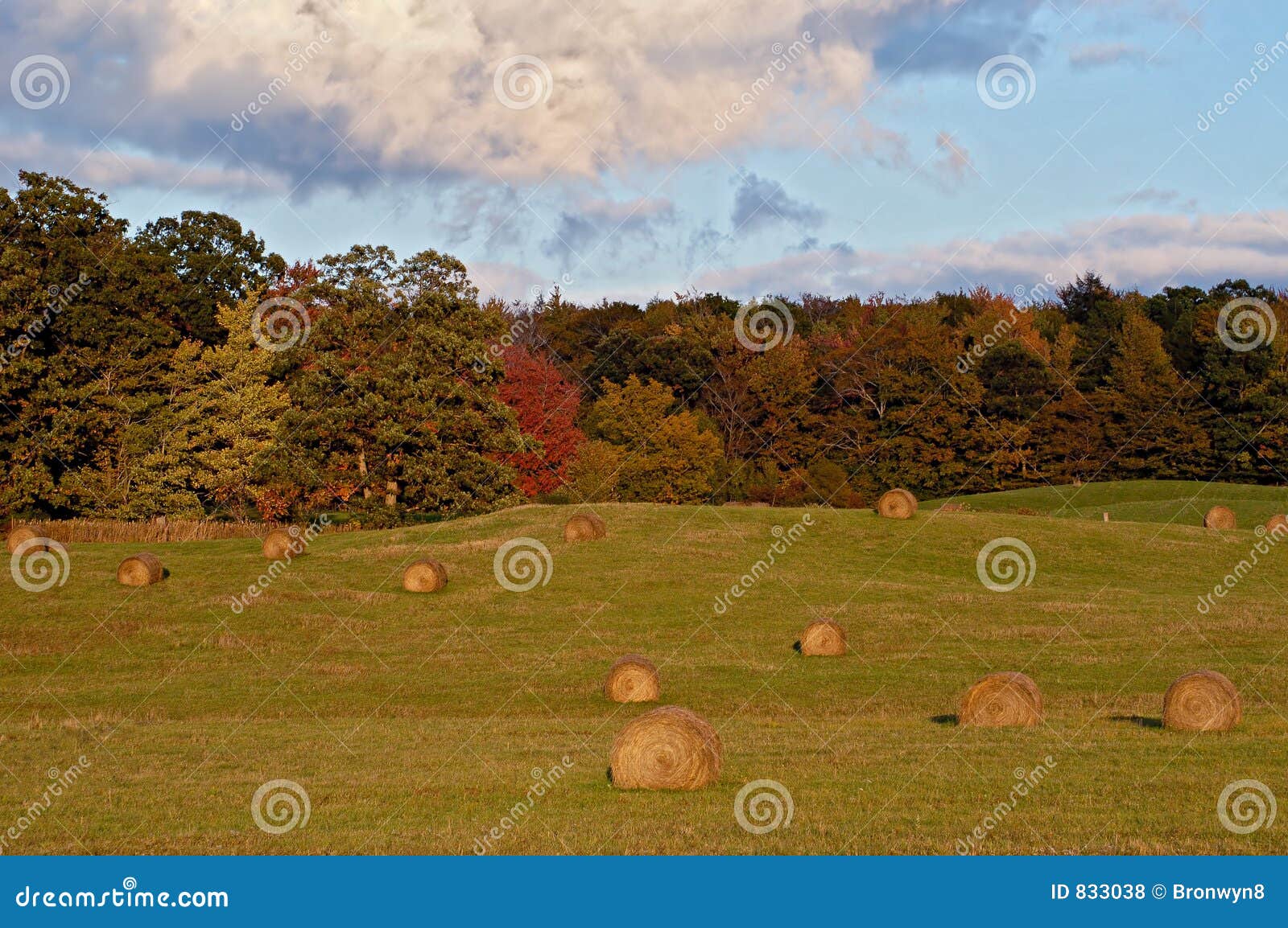 Haybales in Field stock photo. Image of agriculture, serenity - 833038