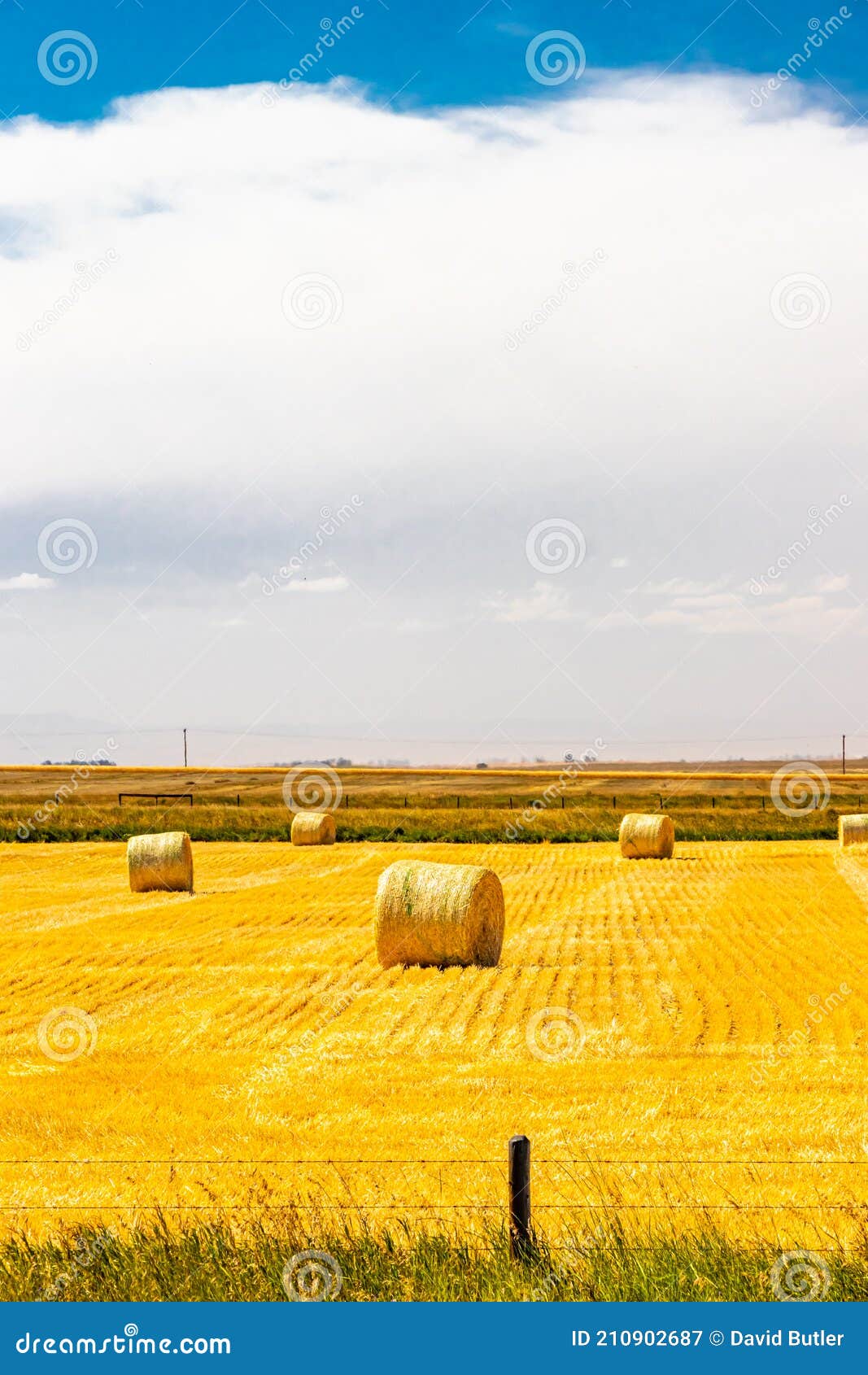 Lethbridge County Stock Photos - Free & Royalty-Free Stock Photos from ...