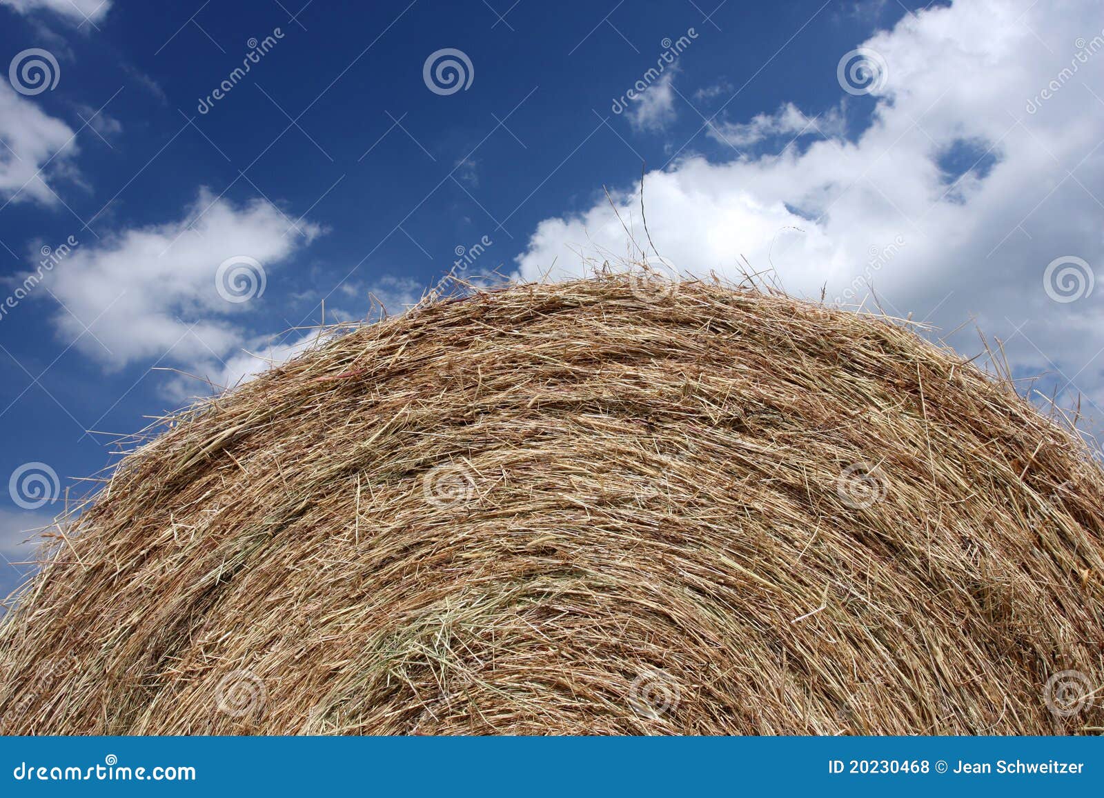 Hayball stock photo. Image of farming, crop, crops, hayball - 20230468