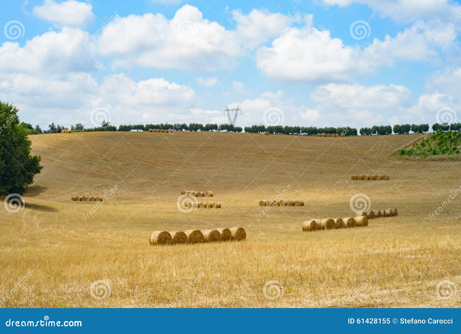 Hayball-Feld stockbild. Bild von ackerland, himmel, sonnig - 61428155