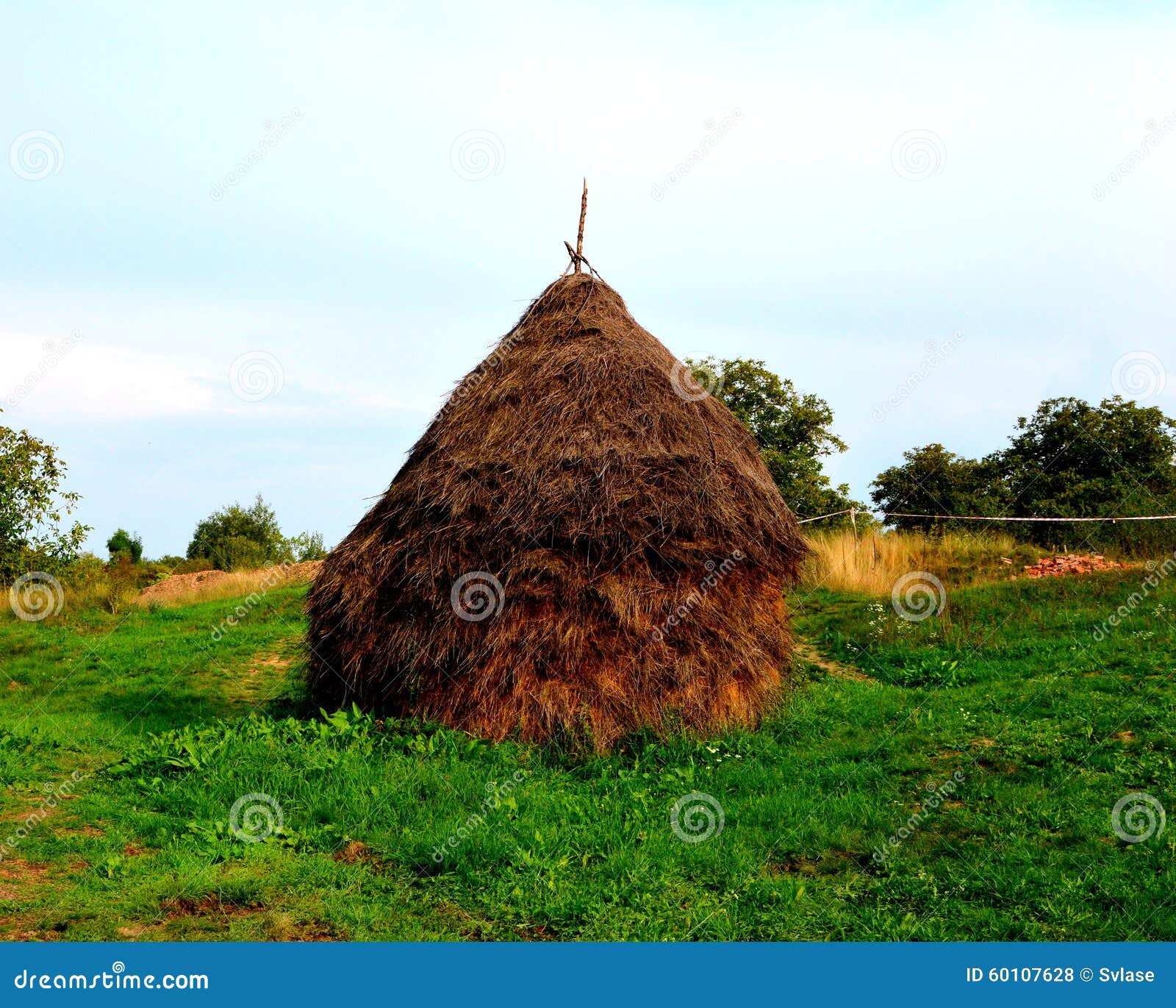 Haycock stockfoto. Bild von futter, ernte, zaun, schönheit - 60107628