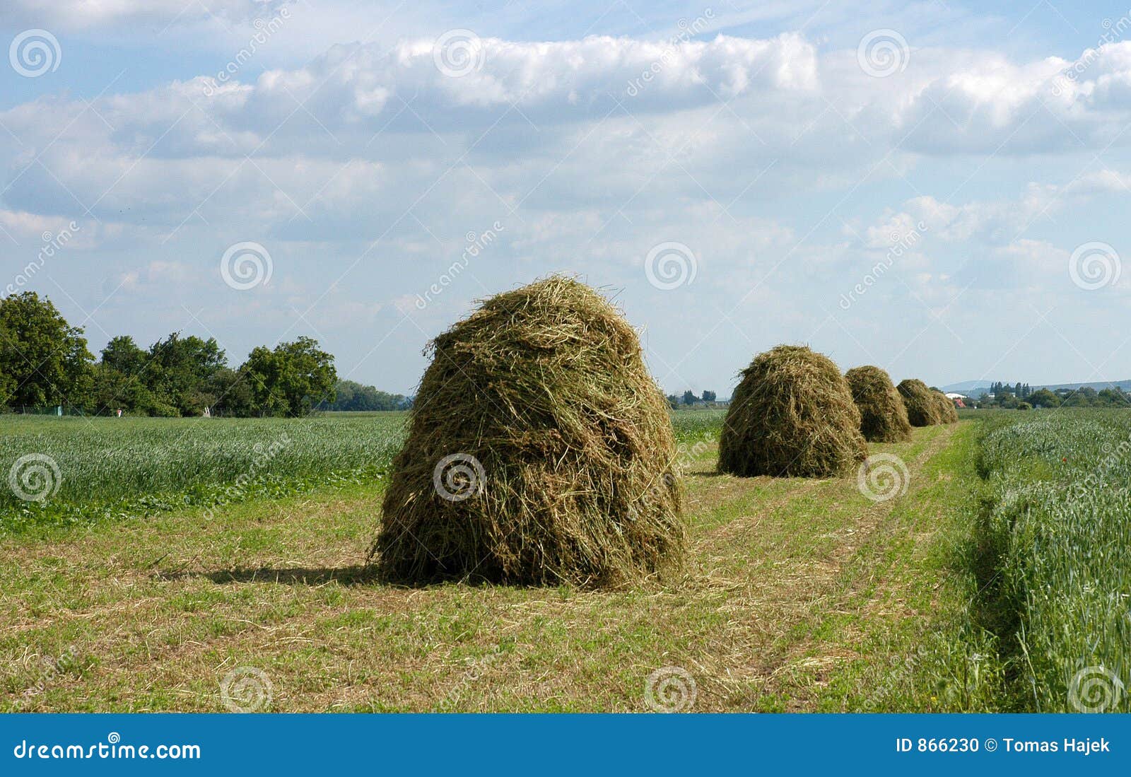 Haycock stock photo. Image of inning, rural, farm, clouds - 866230