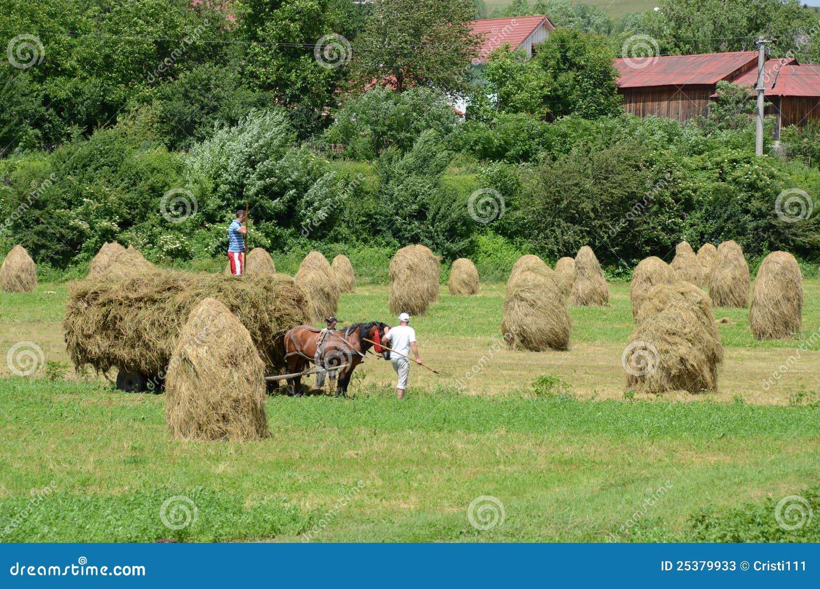 Haycock work land editorial stock photo. Image of cloudy - 25379933