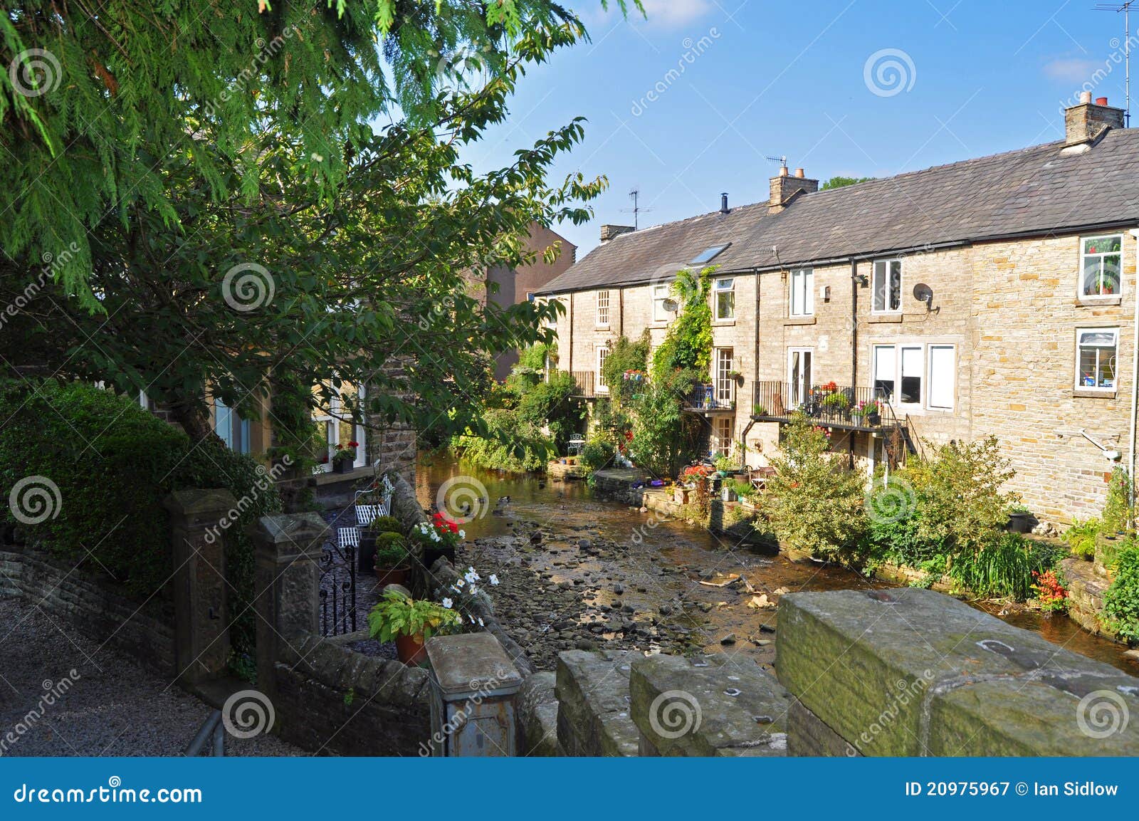 Hayfield - Derbyshire UK stock image. Image of flowers - 20975967