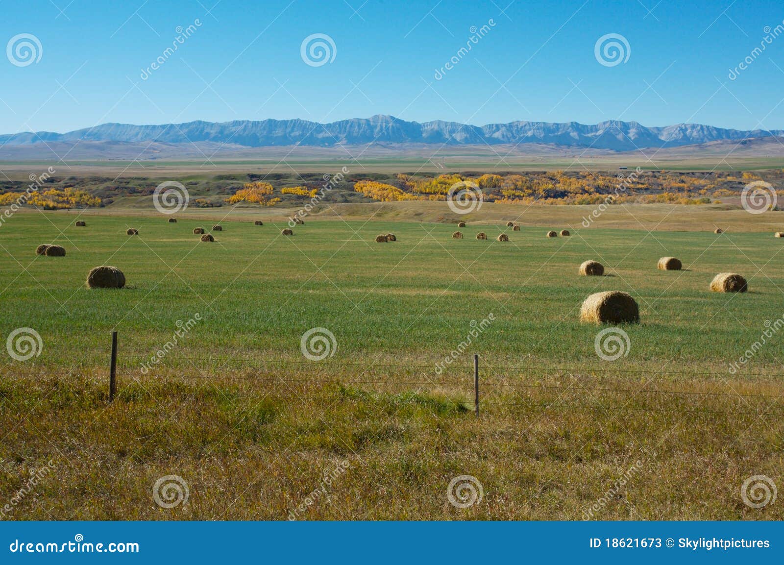 Hayfield and Rocky Mountains Stock Image - Image of mountains, rural ...