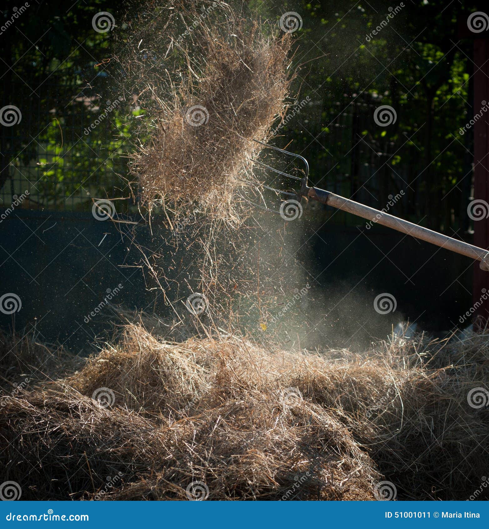 Hayfork and hay stock image. Image of countryside, tools - 51001011
