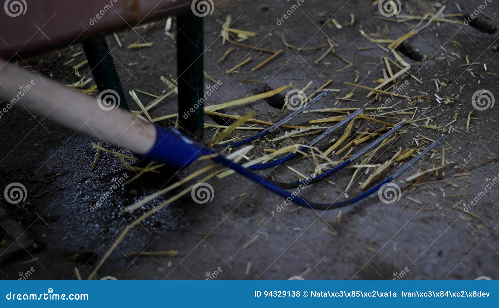Hayfork in the stall stock photo. Image of equipment - 94329138