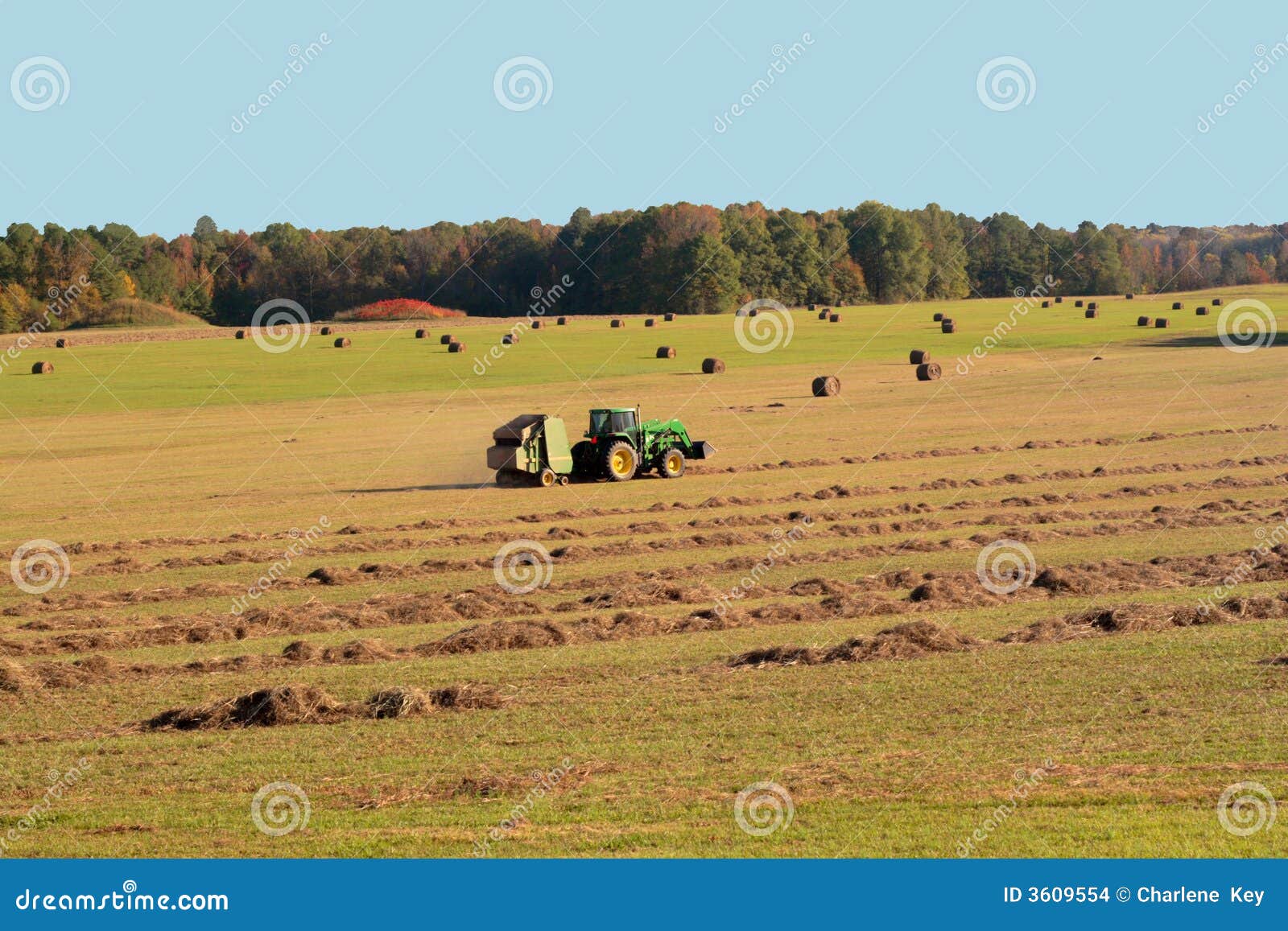 Haying stock photo. Image of cutting, haying, cultivation - 3609554