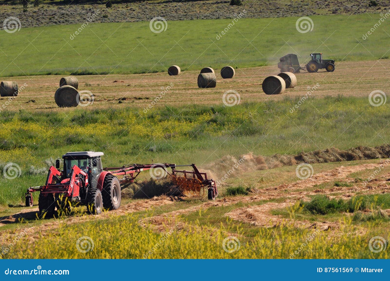 Haying Time stock image. Image of baling, agriculture - 87561569