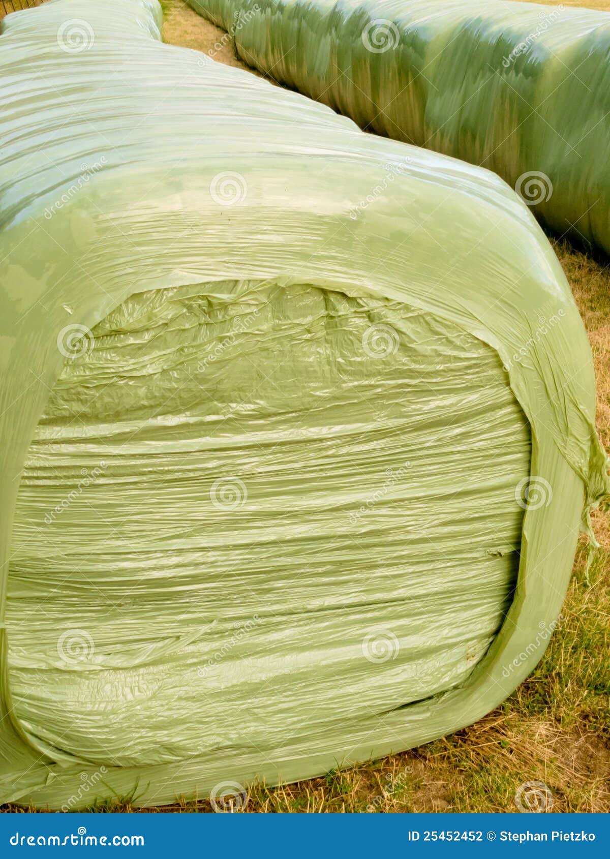 Haylage Bales Wrapped In White Foil Will Provide Food For Farm Animals ...
