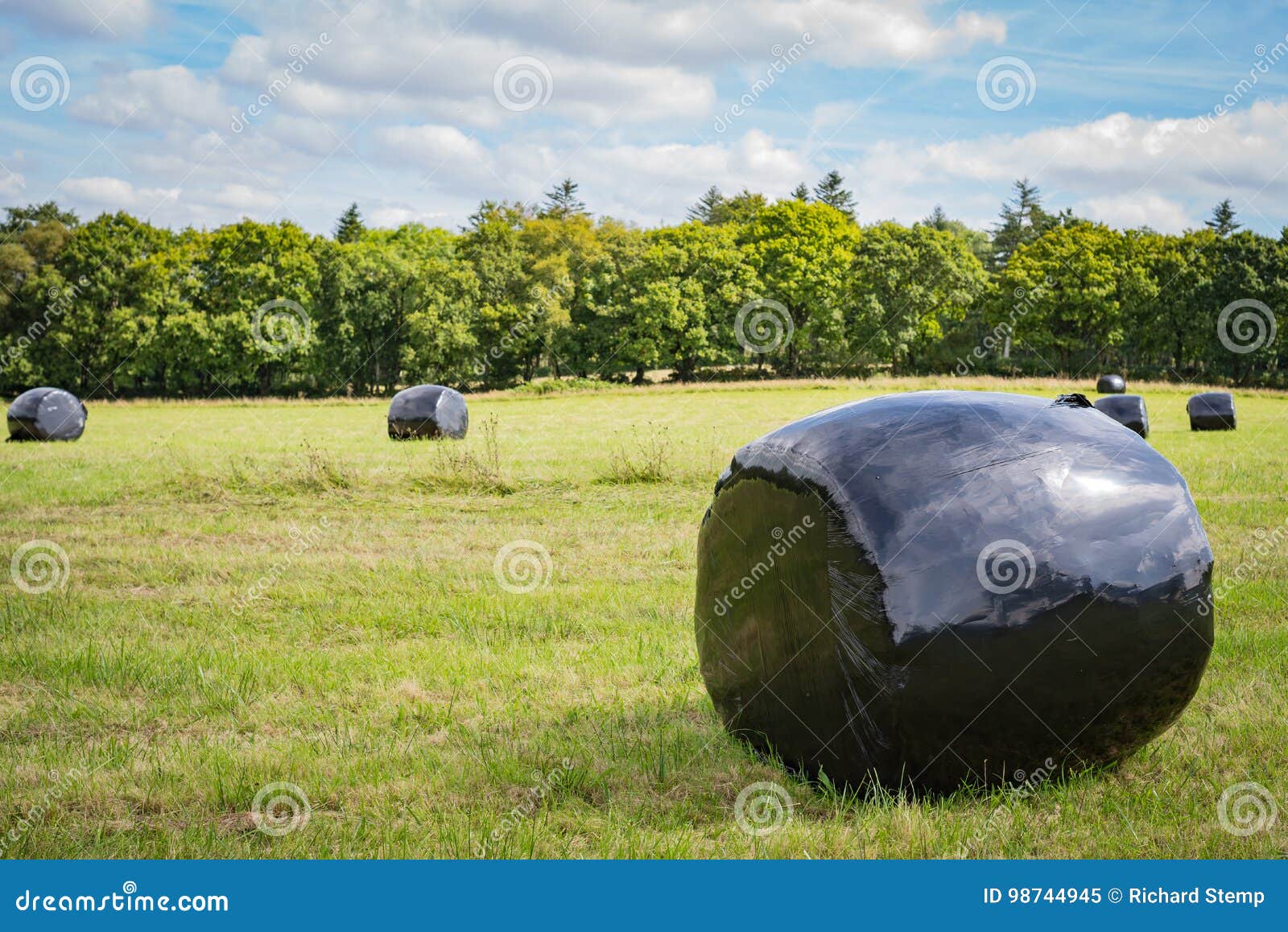 Haylage finally wrapped stock image. Image of haylage - 98744945