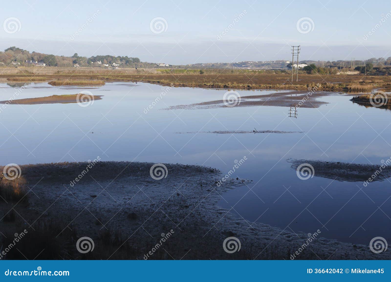 Hayle estuary RSPB reserve stock photo. Image of coast - 36642042