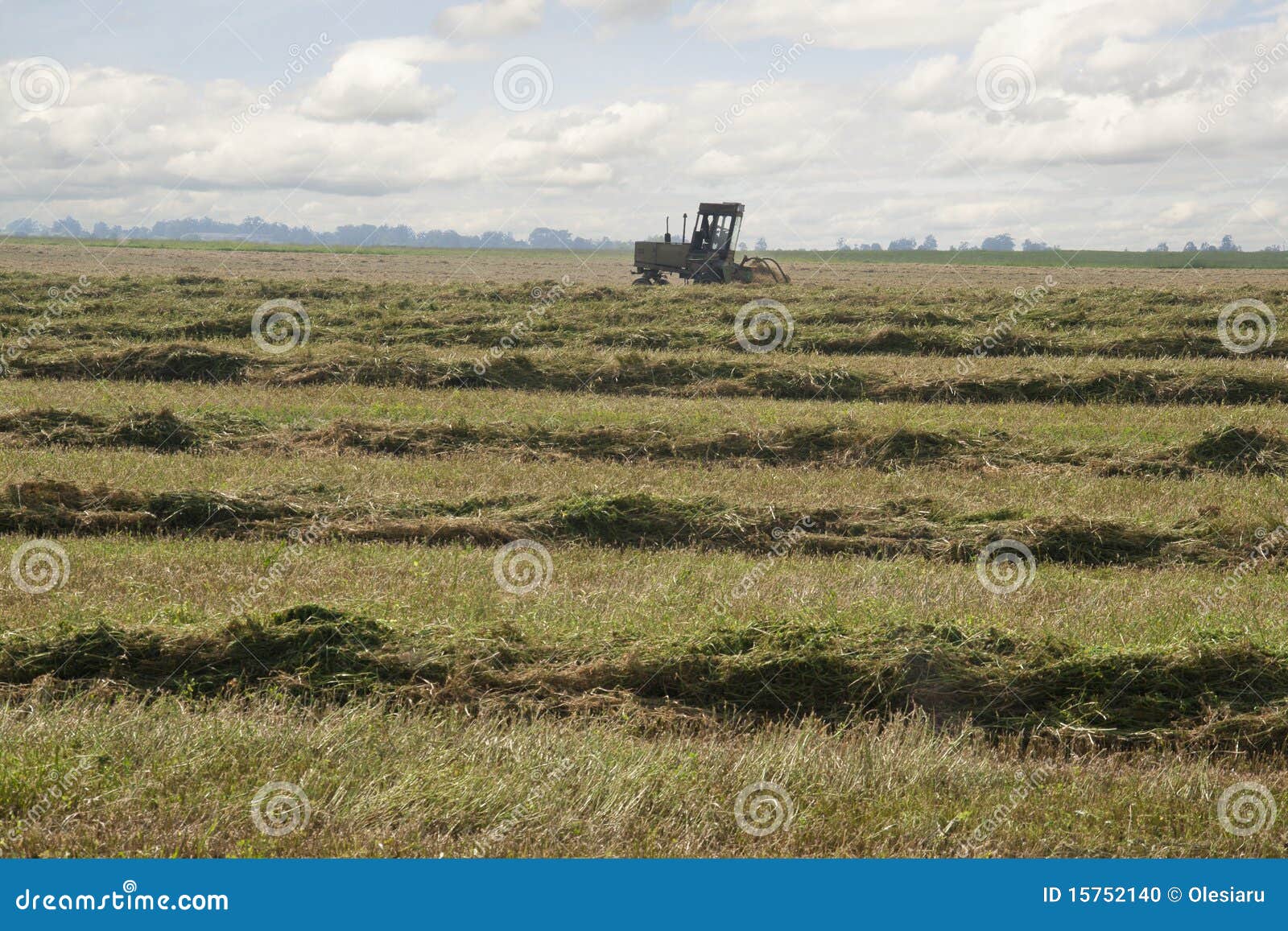 Haymaking stock photo. Image of haymaking, field, machine - 15752140