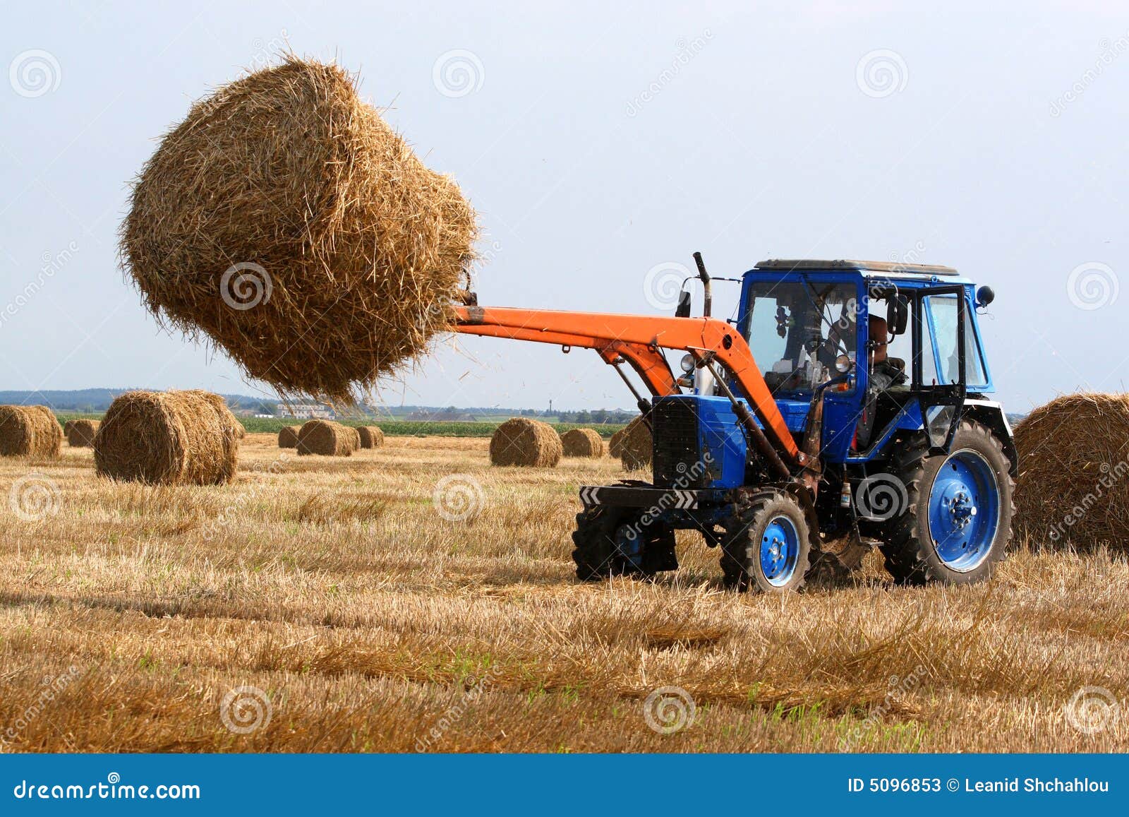 Haymaking stock image. Image of plant, somerset, rural - 5096853