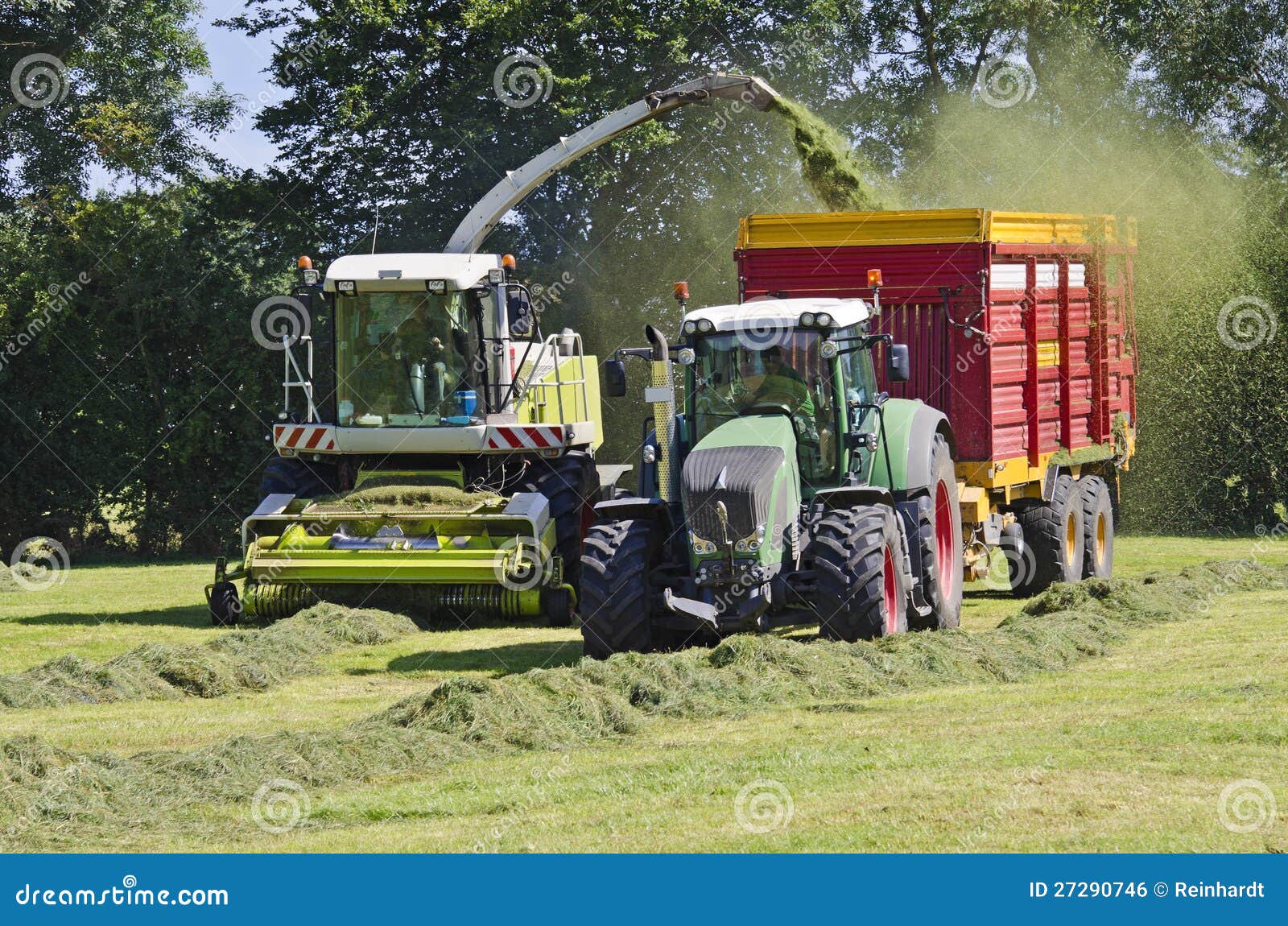 Haymaking, Forage Harvester Stock Photo - Image of farmland, haymaking ...