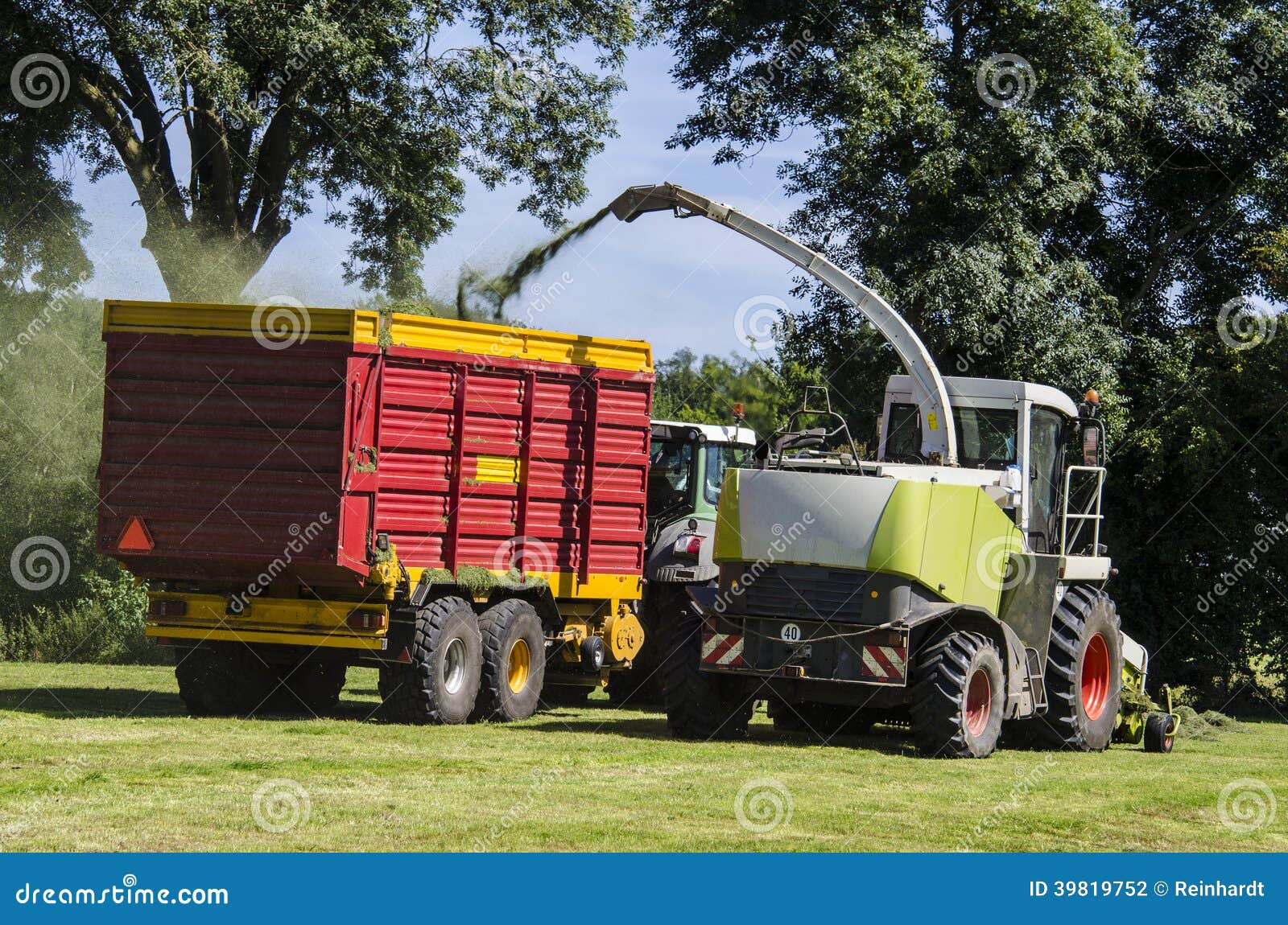 Haymaking, Forage Harvester Stock Photo - Image of haymaking, green ...
