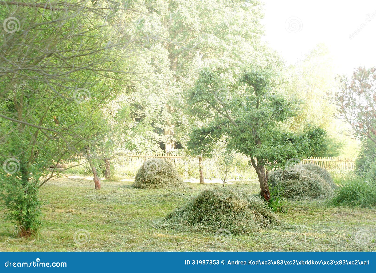 Haymaking, Hay and Trees in a Garden Stock Image - Image of july, pile ...