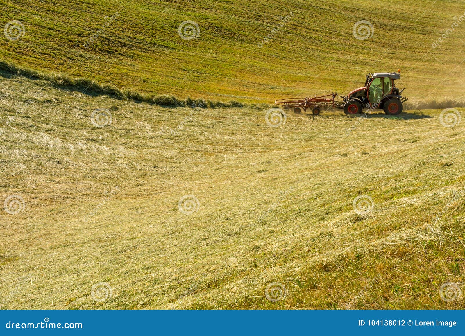 Haymaking on a Hillside with Rows of Hay, a Hay Tedder and a Hay-loader ...