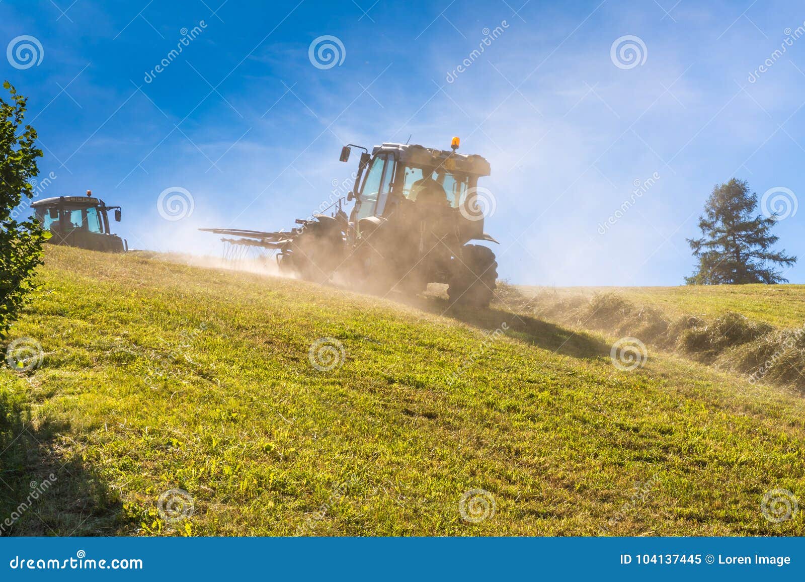 Haymaking on a Hillside with Rows of Hay, a Hay Tedder and a Hay-loader ...