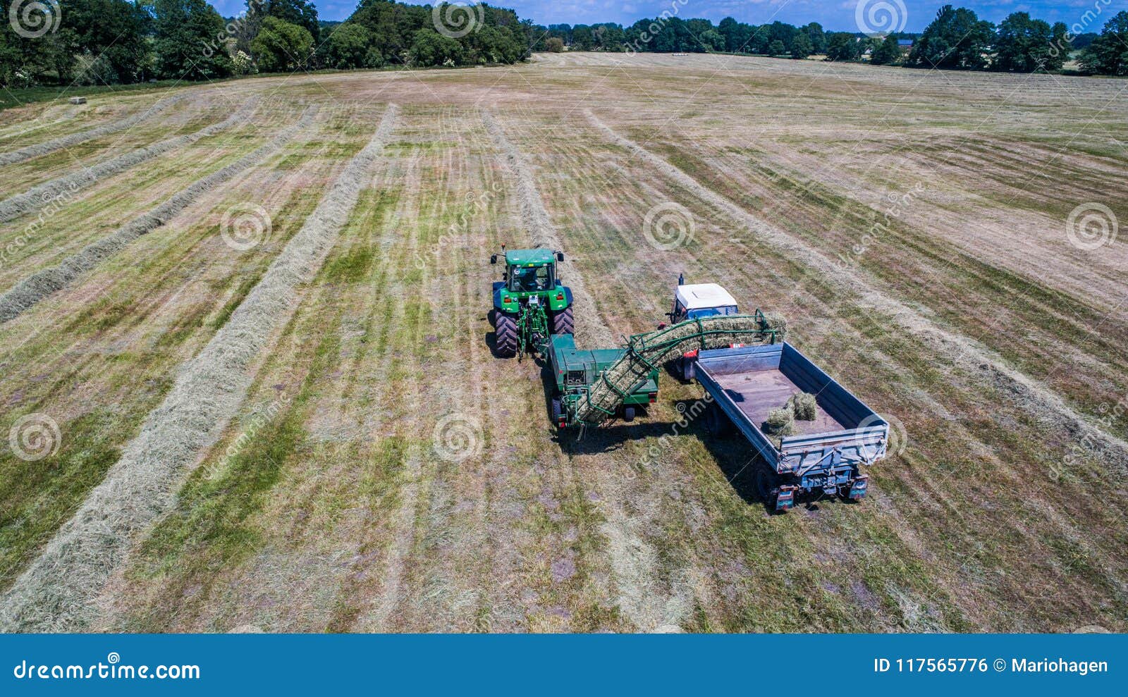 Haymaking on the meadow editorial photo. Image of farmer - 117565776