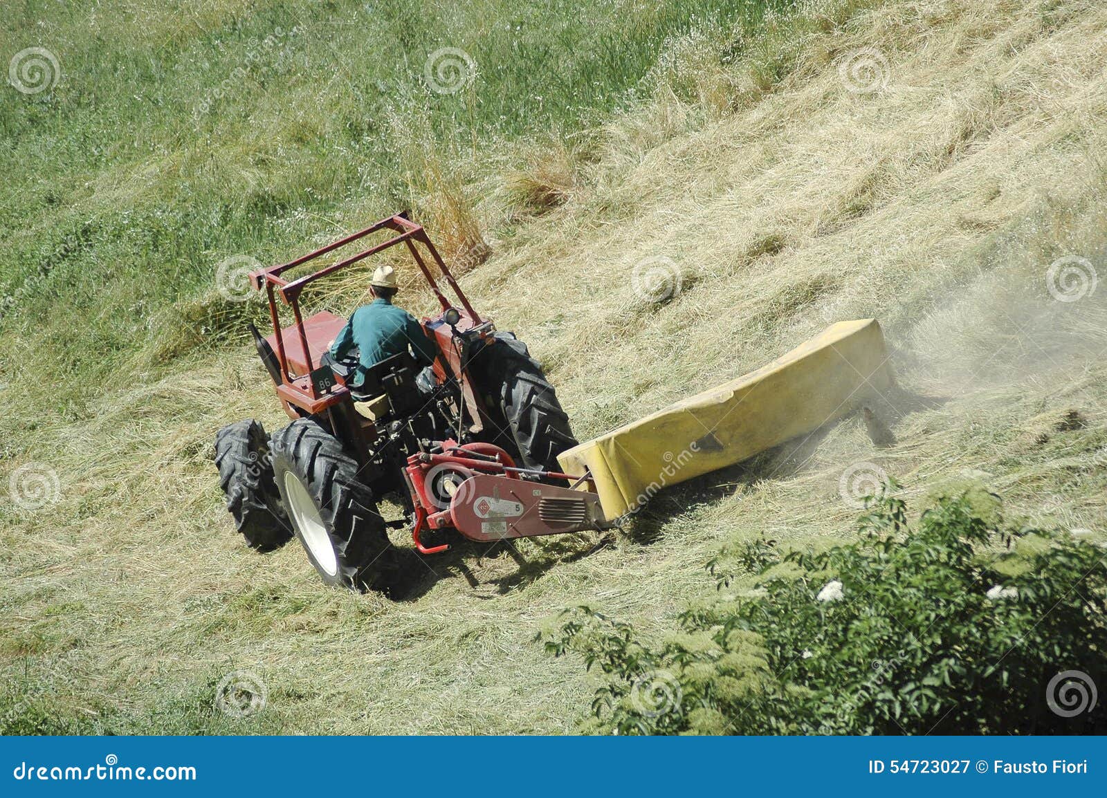 Haymaking stock image. Image of haymaking, field, agriculture - 54723027