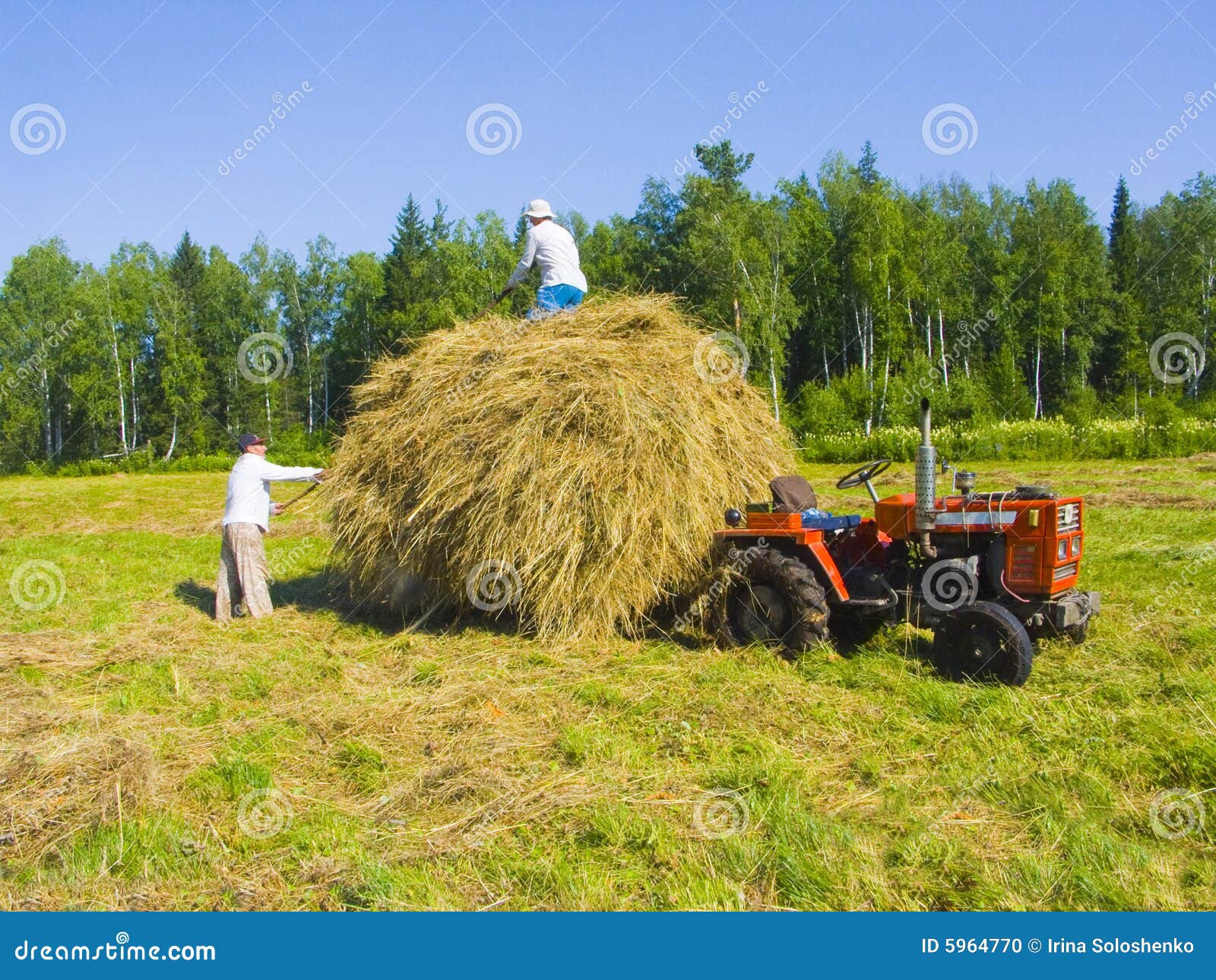 Haymaking in Siberia 13 stock photo. Image of haymaking - 5964770