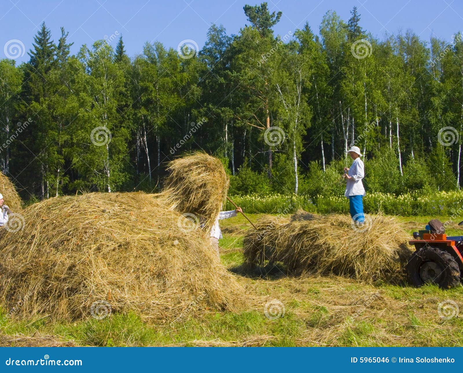 Haymaking in Siberia 19 stock photo. Image of cart, haymaking - 5965046
