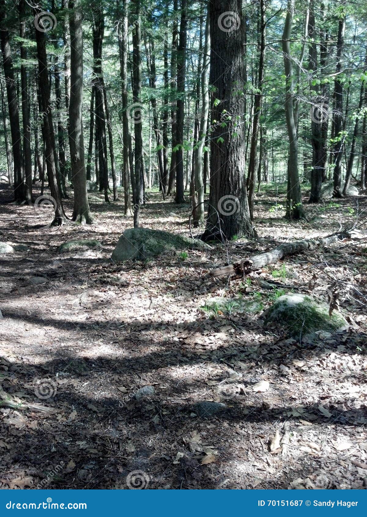 Hayman Falls stock image. Image of hayman, falls, park - 70151687