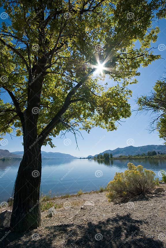 Haynes Point Provincial Park Stock Image - Image of nature, calm: 6416041