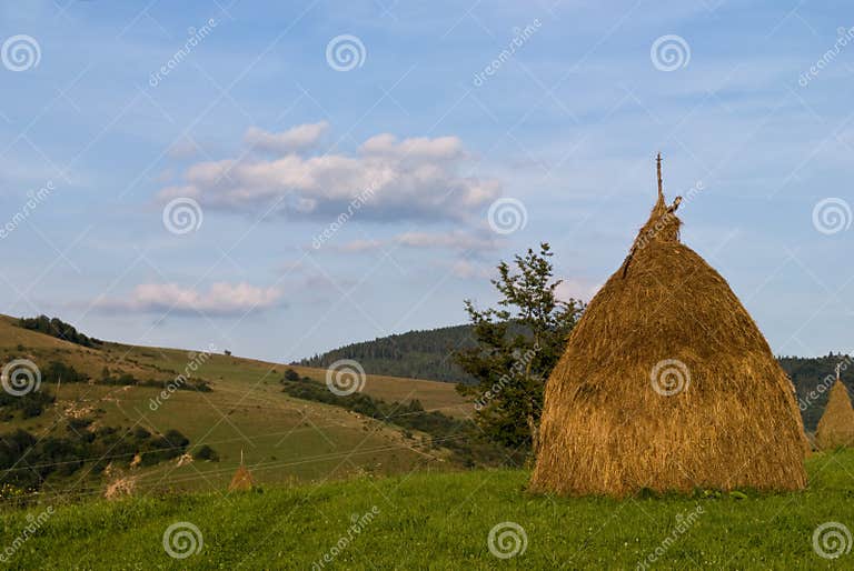 Hayrick stock photo. Image of landscape, angle, camp - 10812780
