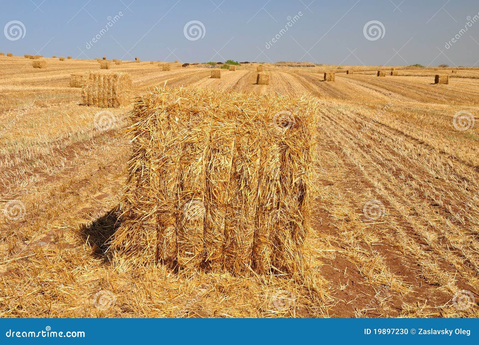 Hayrick. stock photo. Image of galilee, rick, countryside - 19897230