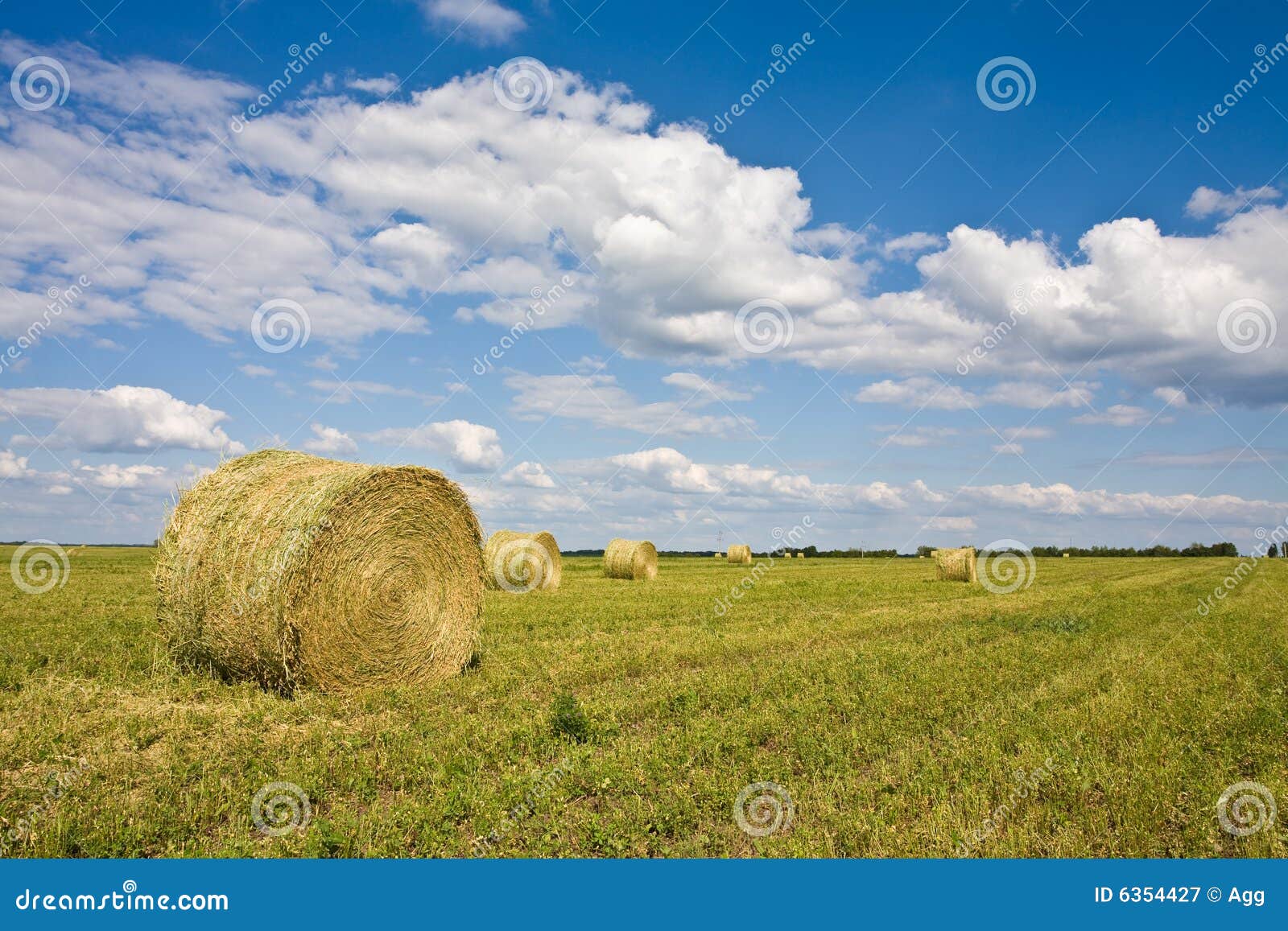 Hayrick stock image. Image of nature, hayrick, economy - 6354427