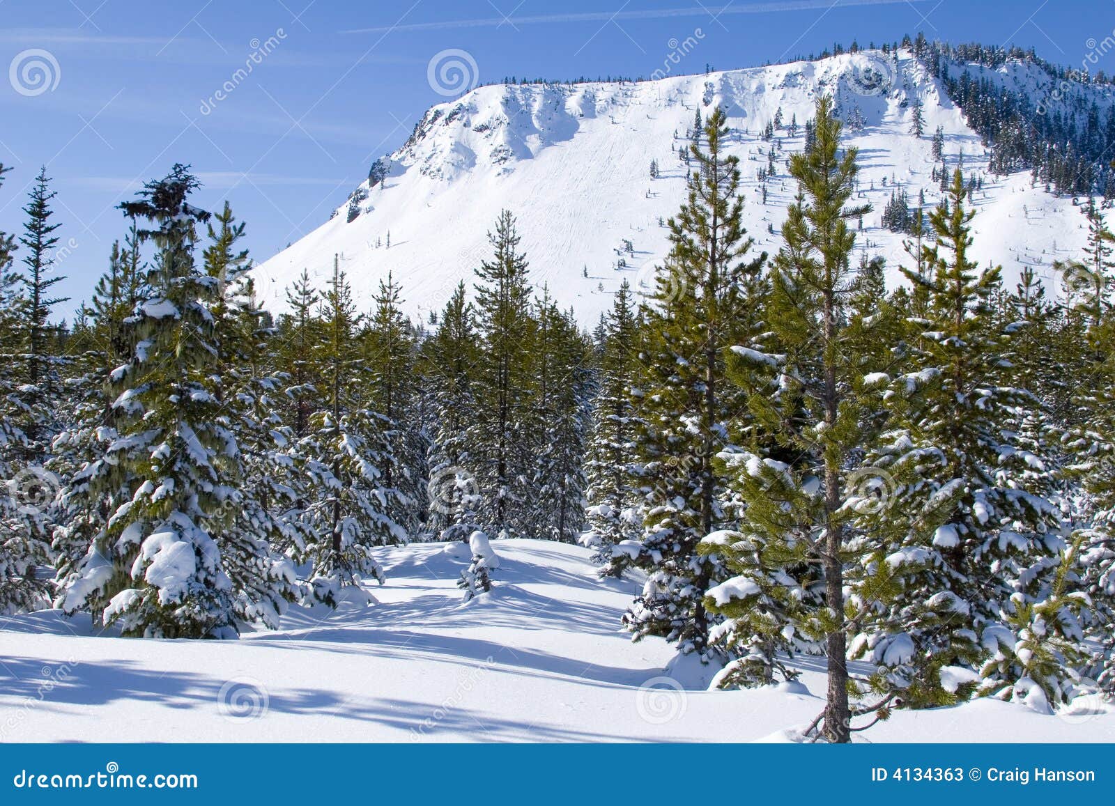 Hayrick Butte stock image. Image of santiam, snow, powder - 4134363