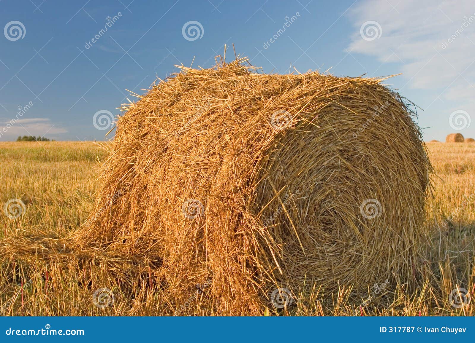 Hayrick Close-up Picture. Image: 317787