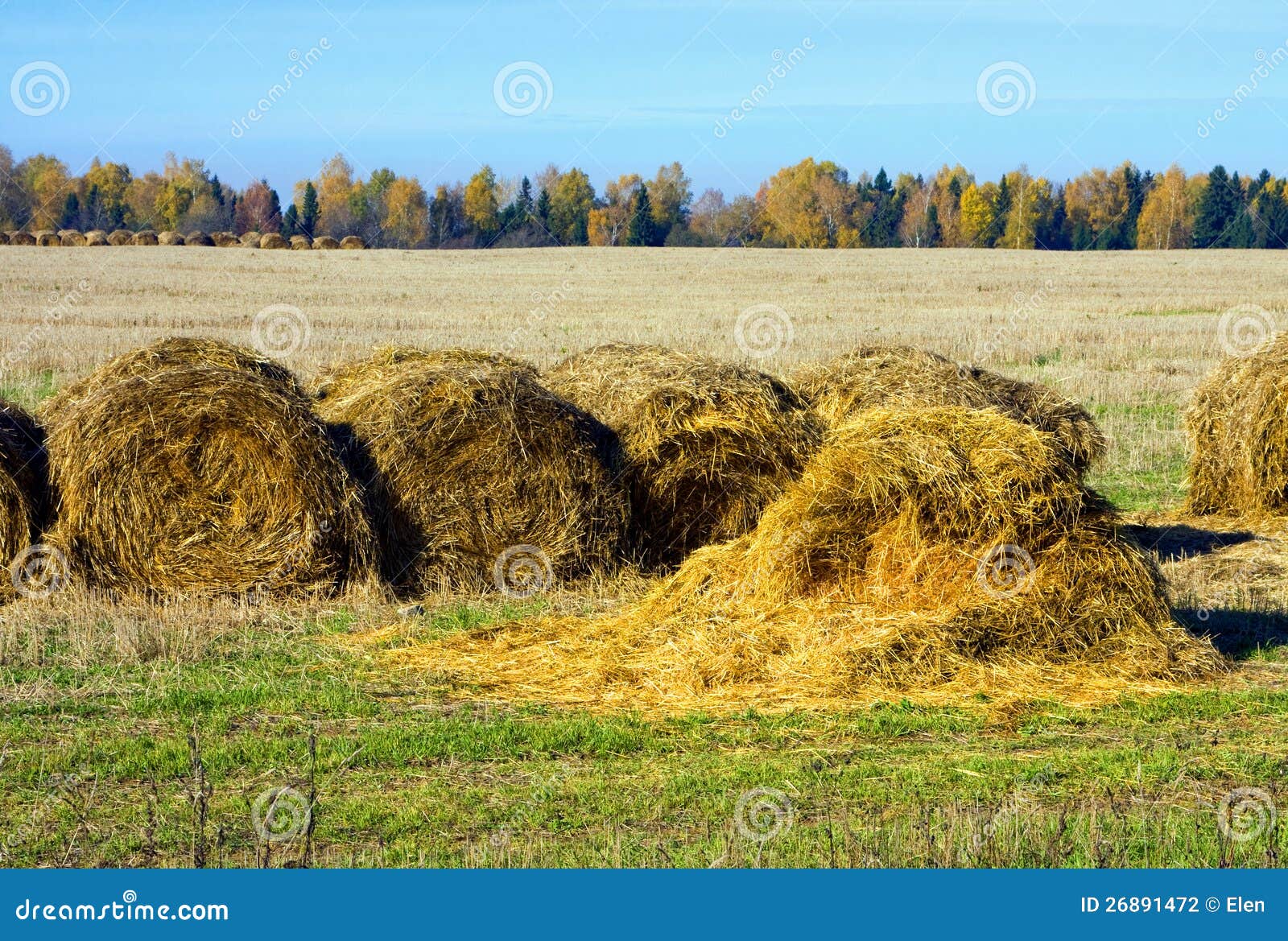 Hayrick in a field stock photo. Image of fall, nature - 26891472