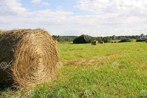 Hayrick on Field in Harvest Time Stock Image - Image of farmers ...
