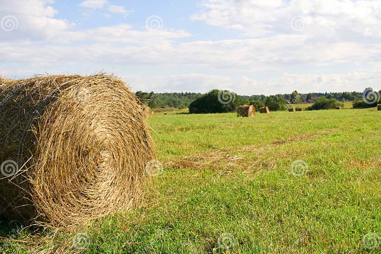 Hayrick on Field in Harvest Time Stock Image - Image of farmers ...