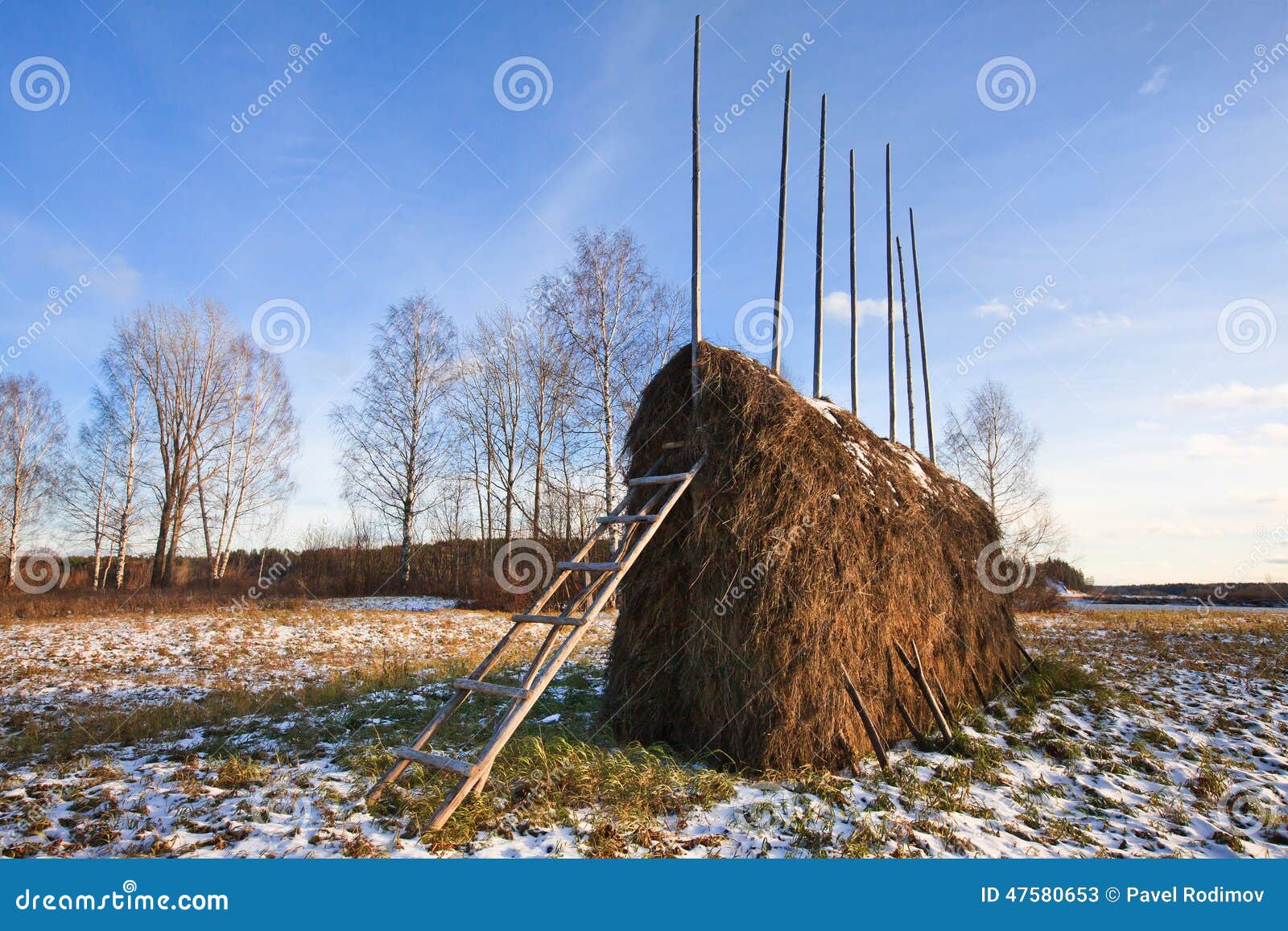 Hayrick on meadow stock image. Image of outside, ricker - 47580653