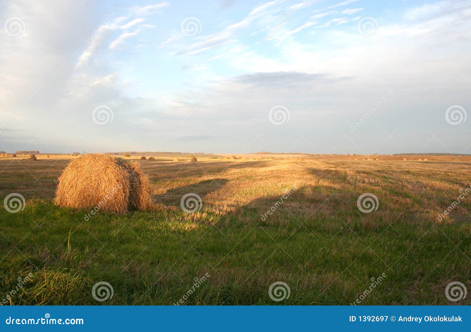 Hayrick in Russia stock image. Image of haying, hayfield - 1392697