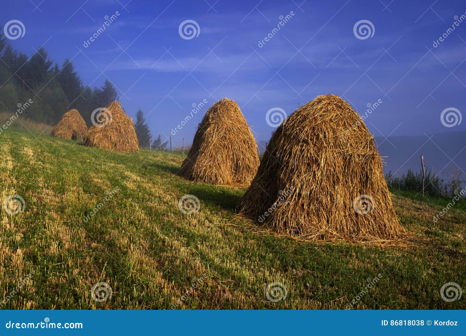 Hayricks arkivfoto. Bild av slovakia, hayrick, traditionellt - 86818038