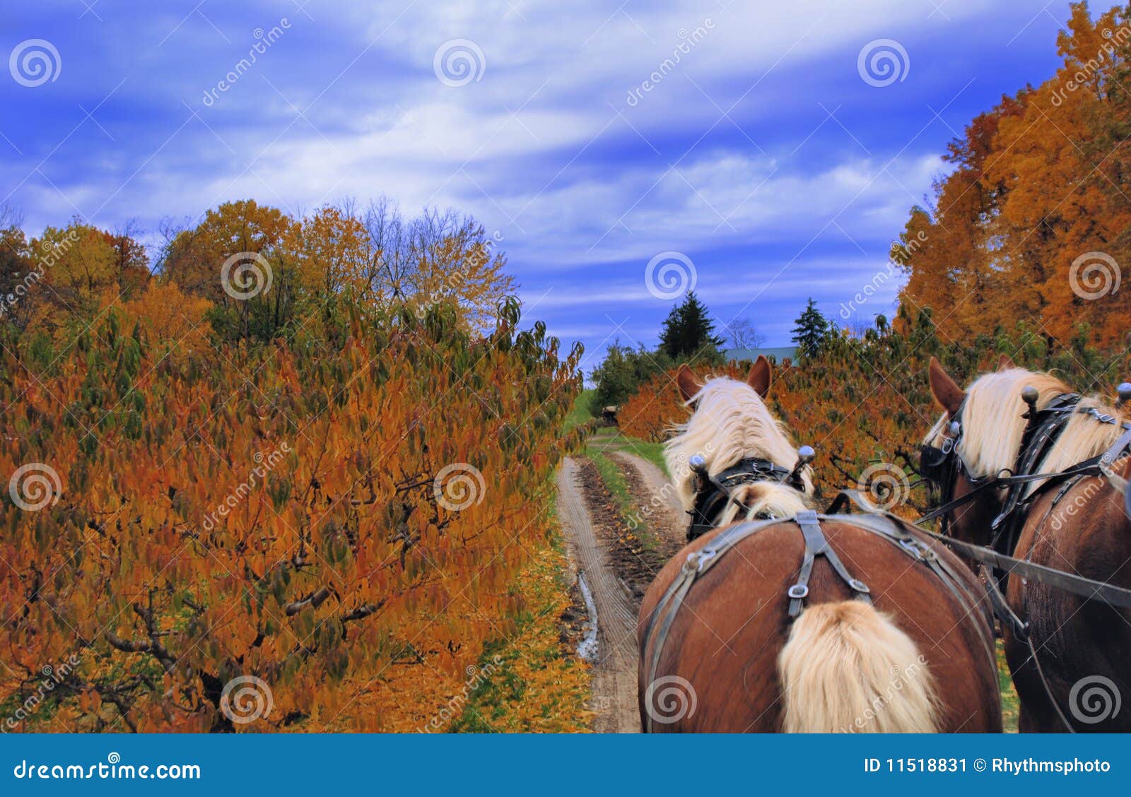Hayride at the orchard stock image. Image of hayride - 11518831