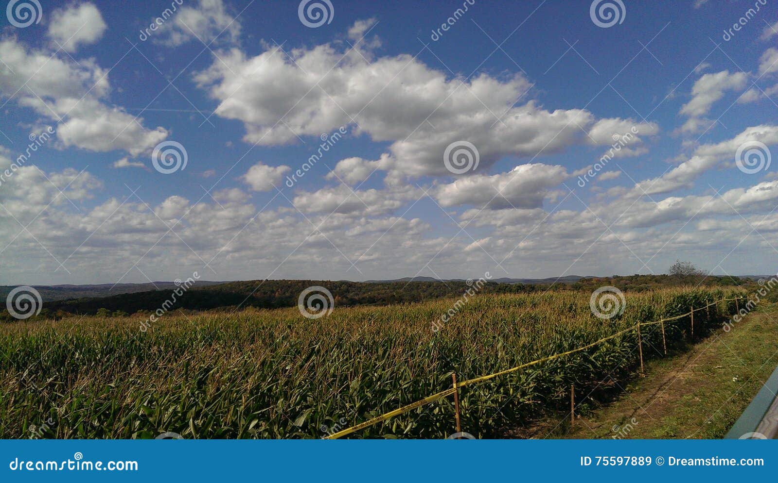 Hayride pumpkin farm stock image. Image of fall, farm - 75597889