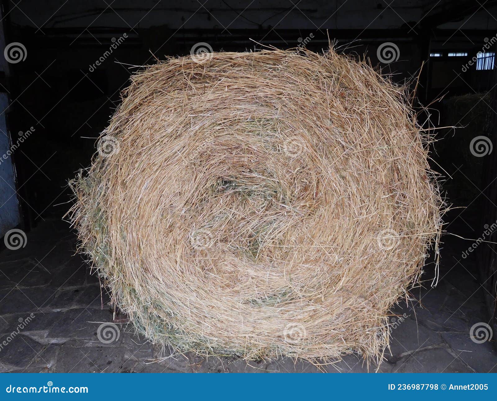 Hayroll stock photo. Image of concept, herbivores, close - 236987798