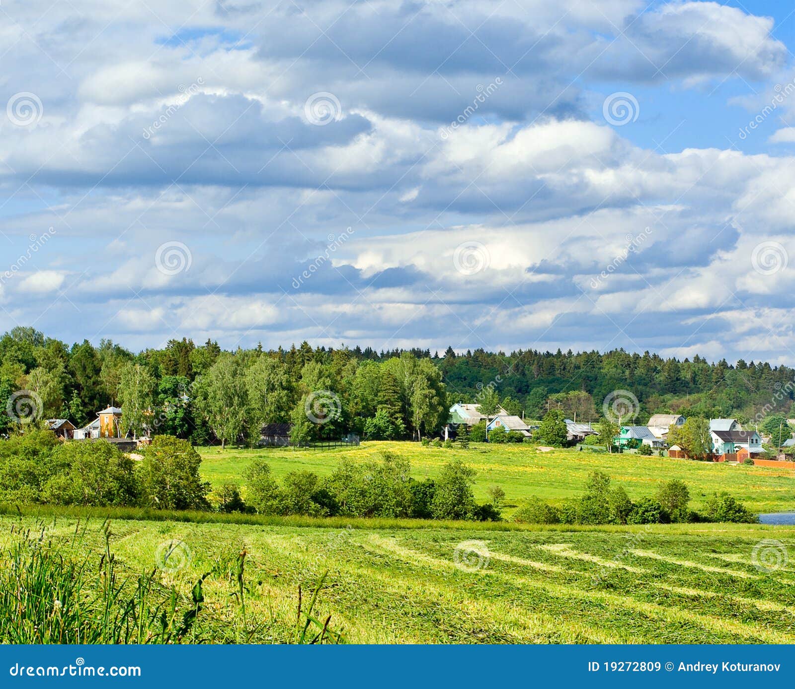 Haysel stock image. Image of herb, afternoon, green, nature - 19272809