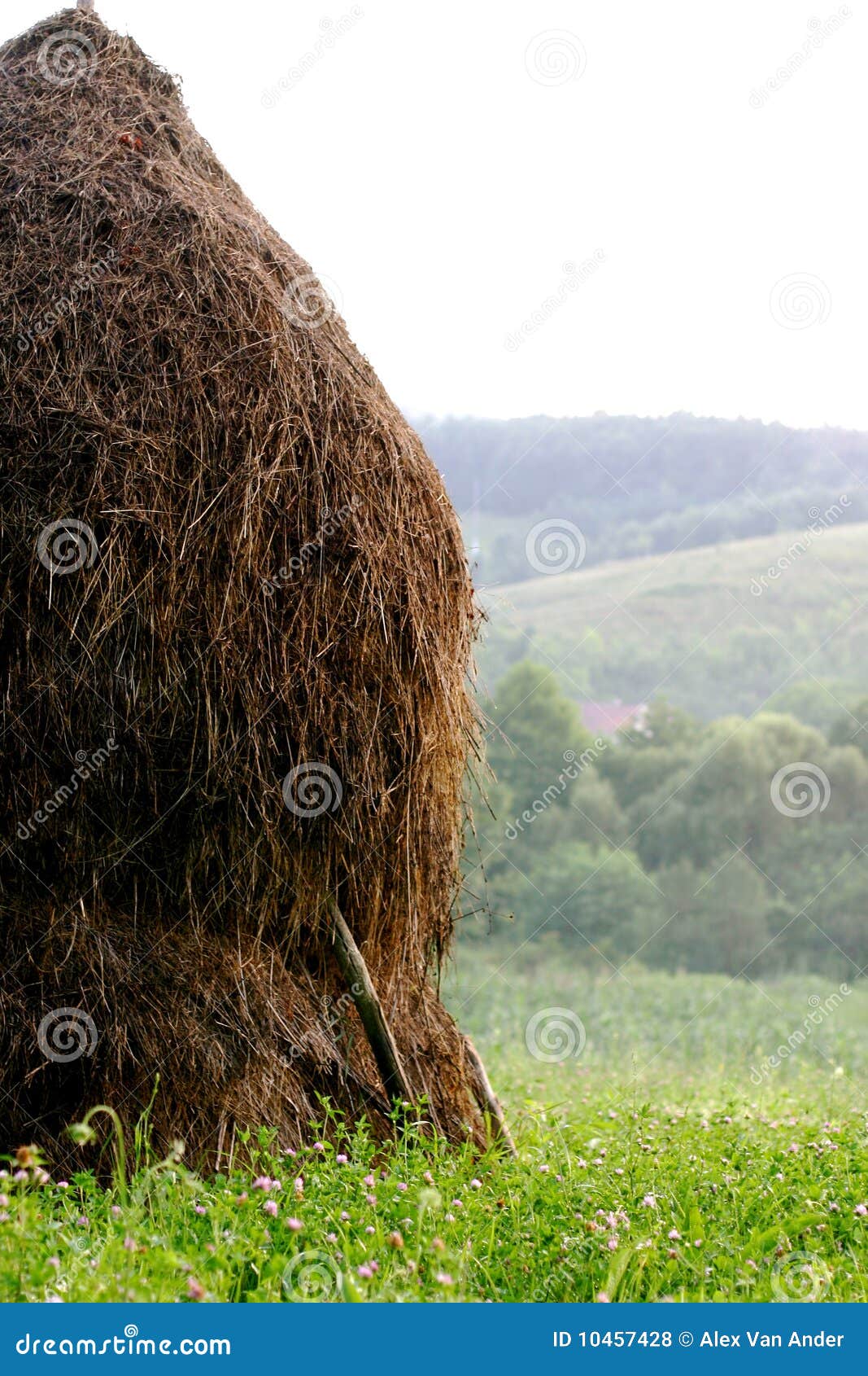 Haystack stock photo. Image of haystack, mountainside - 10457428