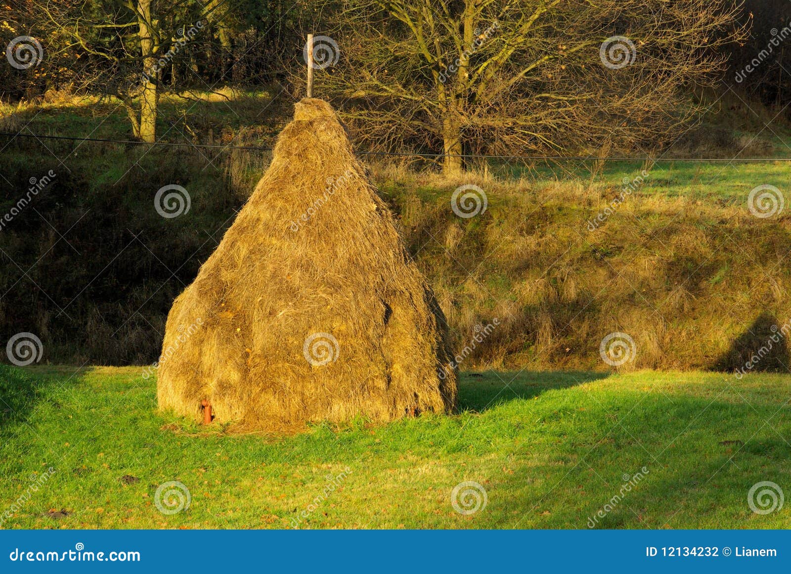 Haystack stock photo. Image of harvest, outdoor, spreewald - 12134232