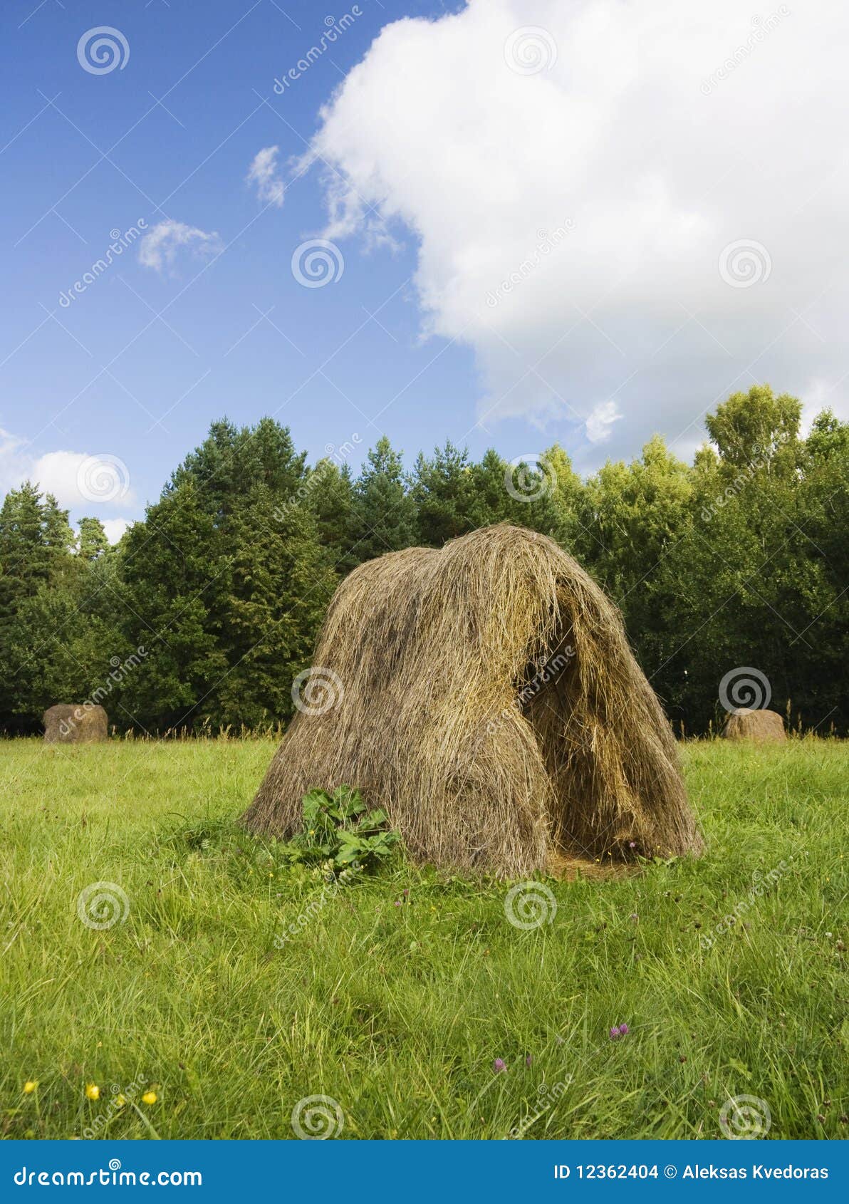 Haystack stock photo. Image of haystack, pasture, green - 12362404